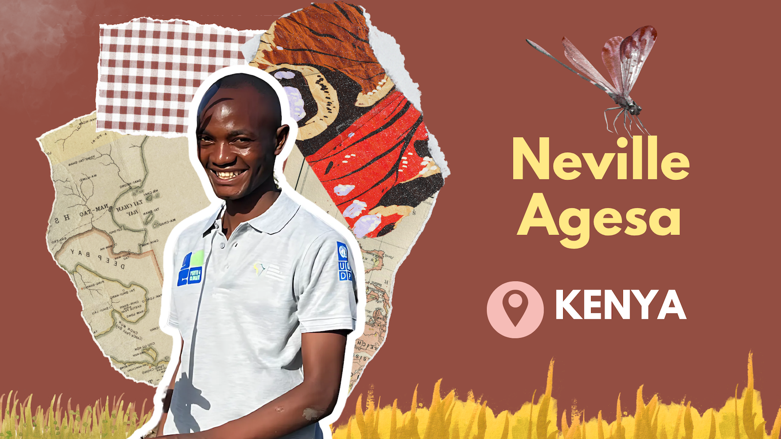 How four young environmental leaders are restoring wetlands in their countries | UNDP Climate ...